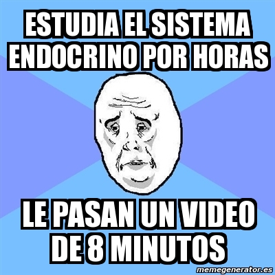 Meme Okay Guy - Estudia el sistema endocrino por horas le pasan un ...
