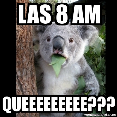 Meme Koala - LAS 8 AM QUEEEEEEEEE??? - 1683288