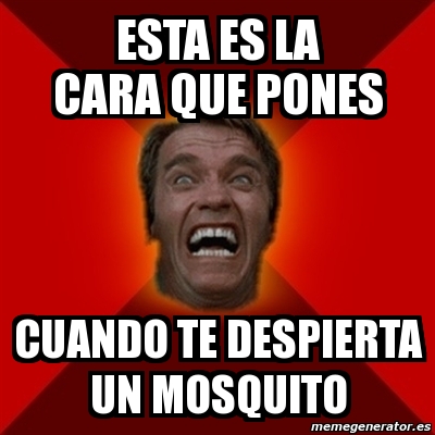 Meme Arnold - esta es la cara que pones cuando te despierta un mosquito ...