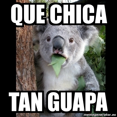 Meme Koala - QUE CHICA TAN GUAPA - 1695954