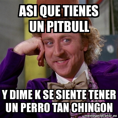Meme Willy Wonka - asi que tienes un pitbull y dime k se siente tener ...