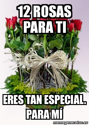 Meme Personalizado - 12 rosas para ti eres tan especial. para mÃ­ - 1732834