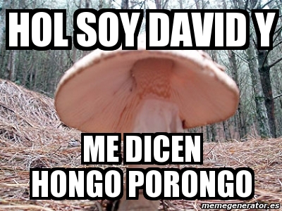 Meme Personalizado - hol soy david y me dicen hongo porongo - 1792458