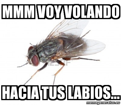 Meme Personalizado - mmm voy volando hacia tus labios... - 1792703