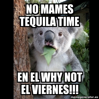 Meme Koala - no mames tequila time en el why not el viernes!!! - 1084087