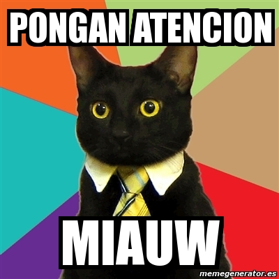 Meme Business Cat - Pongan atencion miauw - 1817881