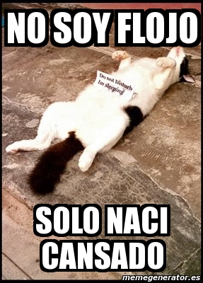 Meme Personalizado - NO SOY FLOJO SOLO NACI CANSADO - 1830318