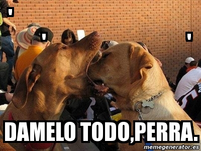 Meme Personalizado - ' ' ' damelo todo,perra. - 1857977