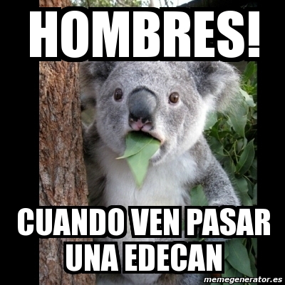 Meme Koala - hombres! cuando ven pasar una edecan - 1864599
