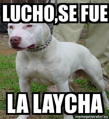 Meme Personalizado - lucho,se fue la laycha - 1870811