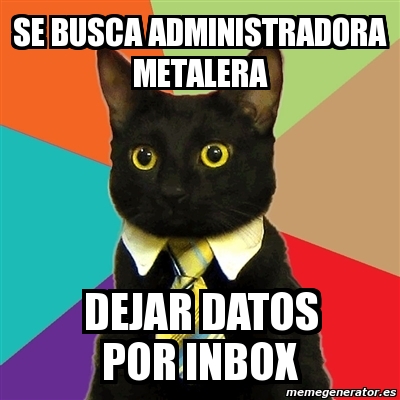Meme Business Cat - se busca administradora metalera dejar datos por ...