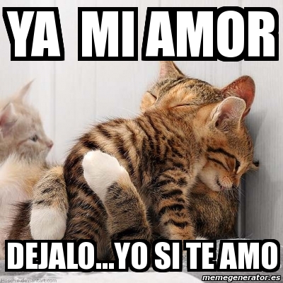 Meme Personalizado - ya mi amor dejalo...yo si te amo - 1888477