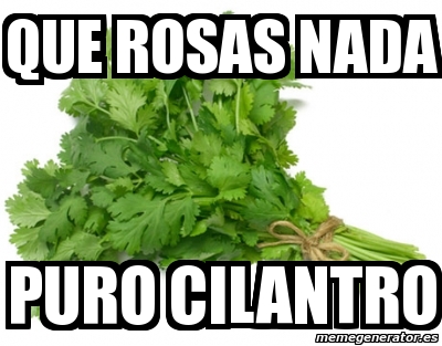 Meme Personalizado - QUE ROSAS NADA PURO CILANTRO - 1895624