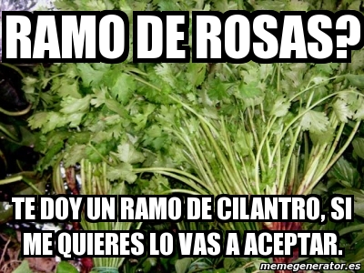 Meme Personalizado - ramo de rosas? te doy un ramo de cilantro, si me ...