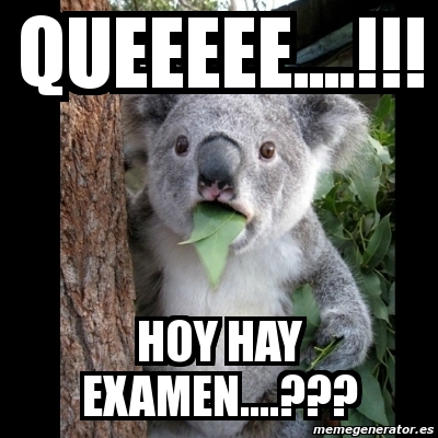Meme Koala - queeeeE....!!! hoy hay examen....??? - 1908217