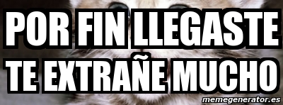 Meme Personalizado - por fin llegaste te extraÃ±e mucho - 1925678