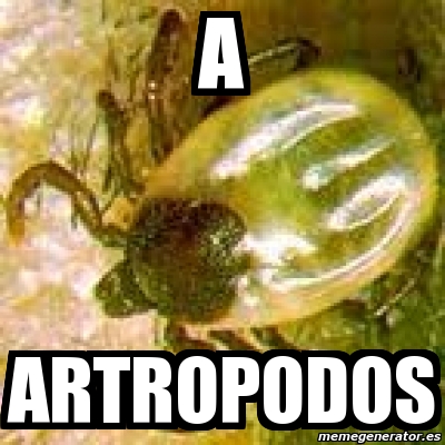 Meme Personalizado - a artropodos - 1937521