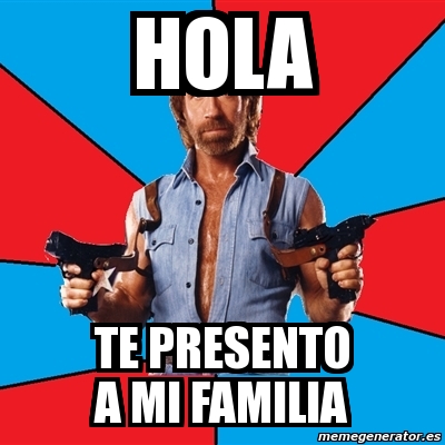 Meme Chuck Norris - hola te presento a mi familia - 1966402