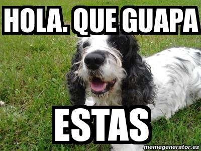 Meme Personalizado - hola. que guapa estas - 1966925