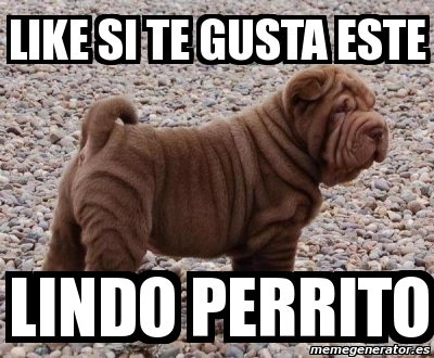 Meme Personalizado - like si te gusta este lindo perrito - 1983806