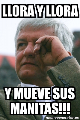 Meme Personalizado - llora y llora y mueve sus manitas!!! - 1985582