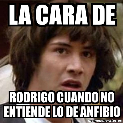Meme Keanu Reeves - la cara de rodrigo cuando no entiende lo de anfibio ...
