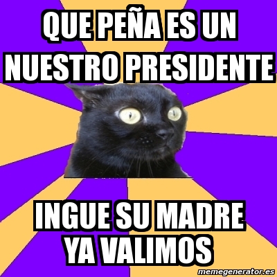 Meme Anxiety Cat - que peÃ±a es un nuestro presidente ingue su madre ya ...