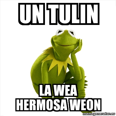 Meme Kermit the frog - un tulin la wea hermosa weon - 11587848