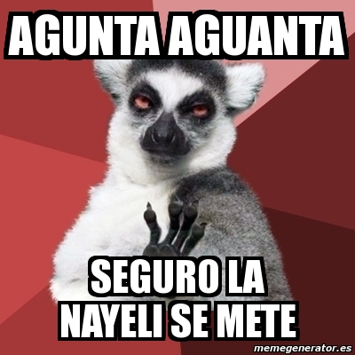 Meme Chill Out Lemur - AGUNTA AGUANTA SEGURO LA NAYELI SE METE - 11595277