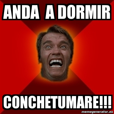 Meme Arnold - anda a dormir conchetumare!!! - 11744921