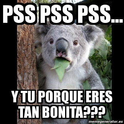 Meme Koala - pss pss pss... y tu porque eres tan bonita??? - 12448604