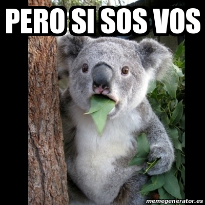 Meme Koala - pero si sos vos - 12872169