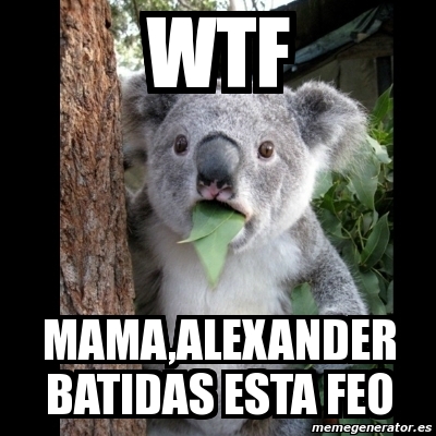 Meme Koala - wtf mama,alexander batidas esta feo - 12097635