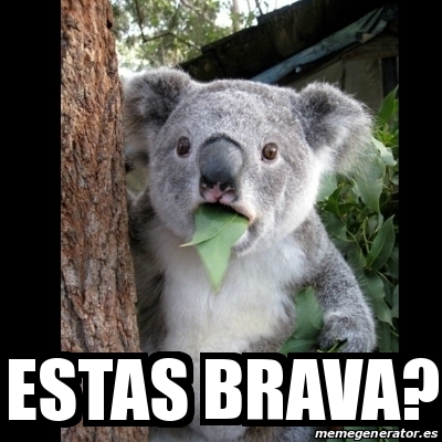 Meme Koala - estas brava? - 13373058