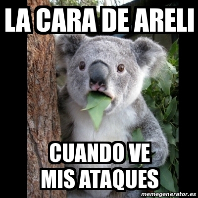 Meme Koala - la cara de areli cuando ve mis ataques - 13510345