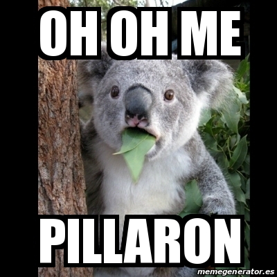 Meme Koala - oh oh me pillaron - 13520206