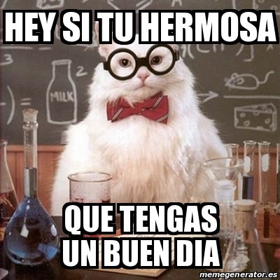 Meme Chemistry Cat Hey Si Tu Hermosa Que Tengas Un Buen Dia 13595751