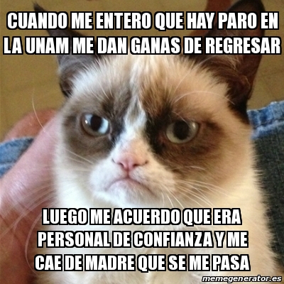Meme Grumpy Cat - cuando me entero que hay paro en la unam me dan ganas ...