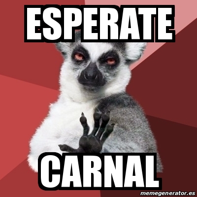 Meme Chill Out Lemur - esperate carnal - 13706888