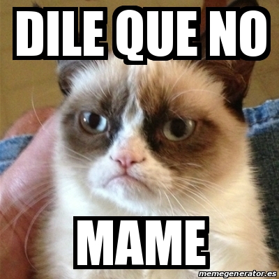 Meme Grumpy Cat - DILE QUE NO MAME - 13741035