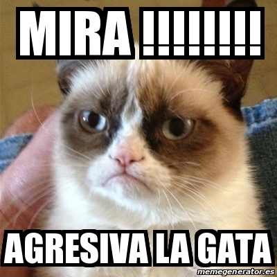 Meme Grumpy Cat - MIRA !!!!!!!! AGRESIVA LA GATA - 13797516