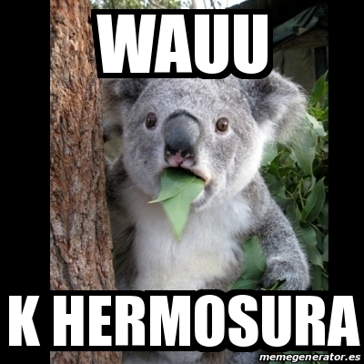 Meme Koala - wauu k hermosura - 13921664