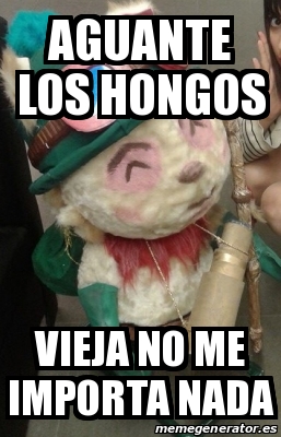 Meme Personalizado - AGUANTE LOS HONGOS VIEJA NO ME IMPORTA NADA - 13932186