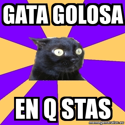 Meme Anxiety Cat - Gata golosa en q stas - 14133152