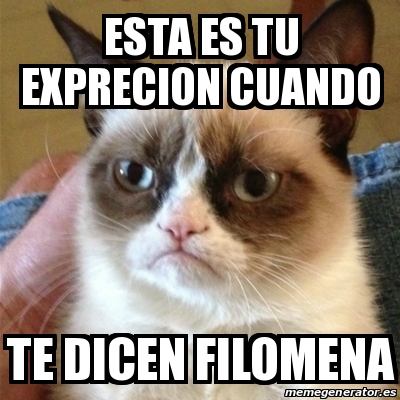 Meme Grumpy Cat - esta es tu exprecion cuando te dicen filomena - 14158688