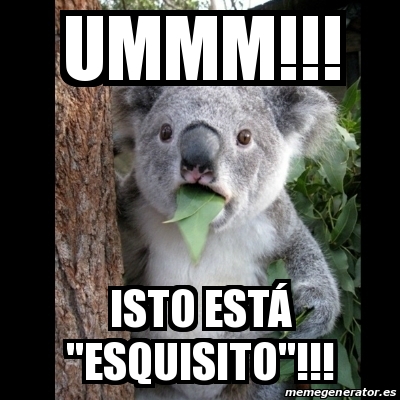 Meme Koala - ummm!!! isto estÃ¡ "esquisito"!!! - 14236941