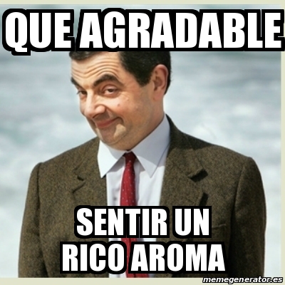 Meme Mr Bean - Que agradable sentir un rico aroma - 14300419
