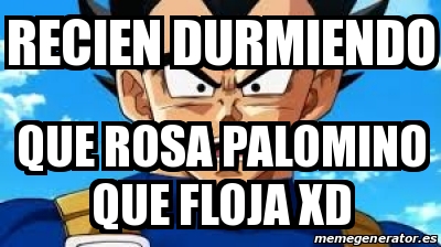 Meme Personalizado - recien durmiendo que rosa palomino que floja xd ...