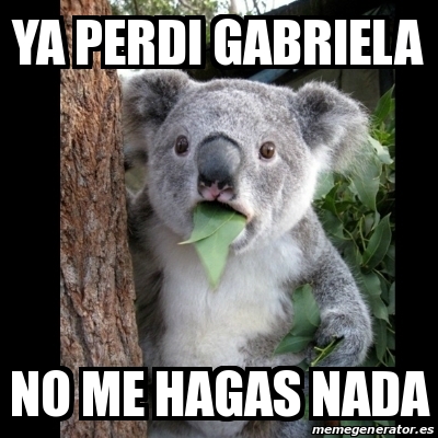 Meme Koala - YA PERDI GABRIELA NO ME HAGAS NADA - 14379904