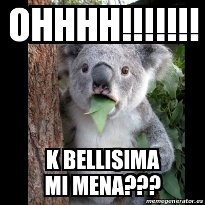 Meme Koala - ohhhh!!!!!!! k bellisima mi mena??? - 14435627